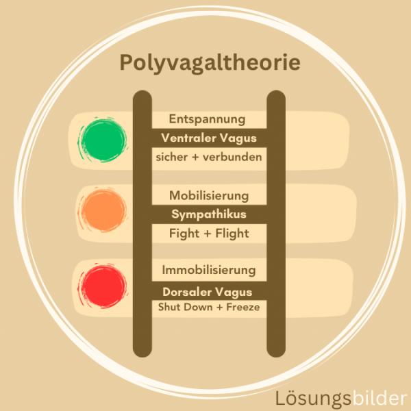 Polyvagaltheorie und Aufstellungsarbeit - Lösungsbilder